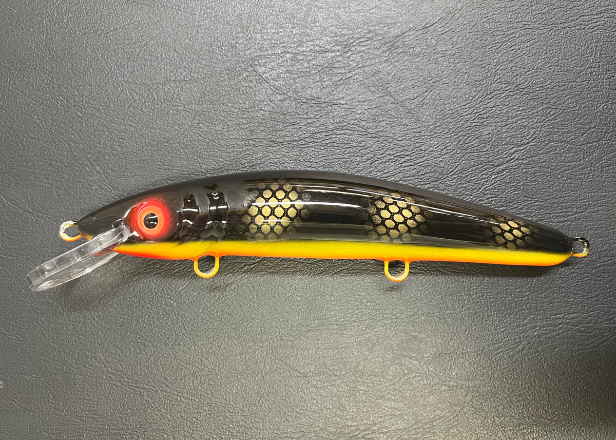 Black Perch - Orange Belly - 9CP – Blue Water Baits