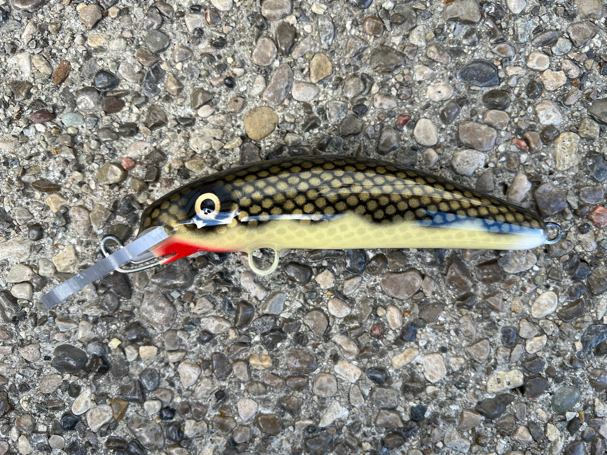 Dark Water Walleye - Cream Belly - 6H – Blue Water Baits